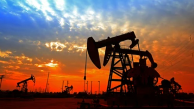 Which Oil Stocks Should You Watch? - Gold Trading Insights